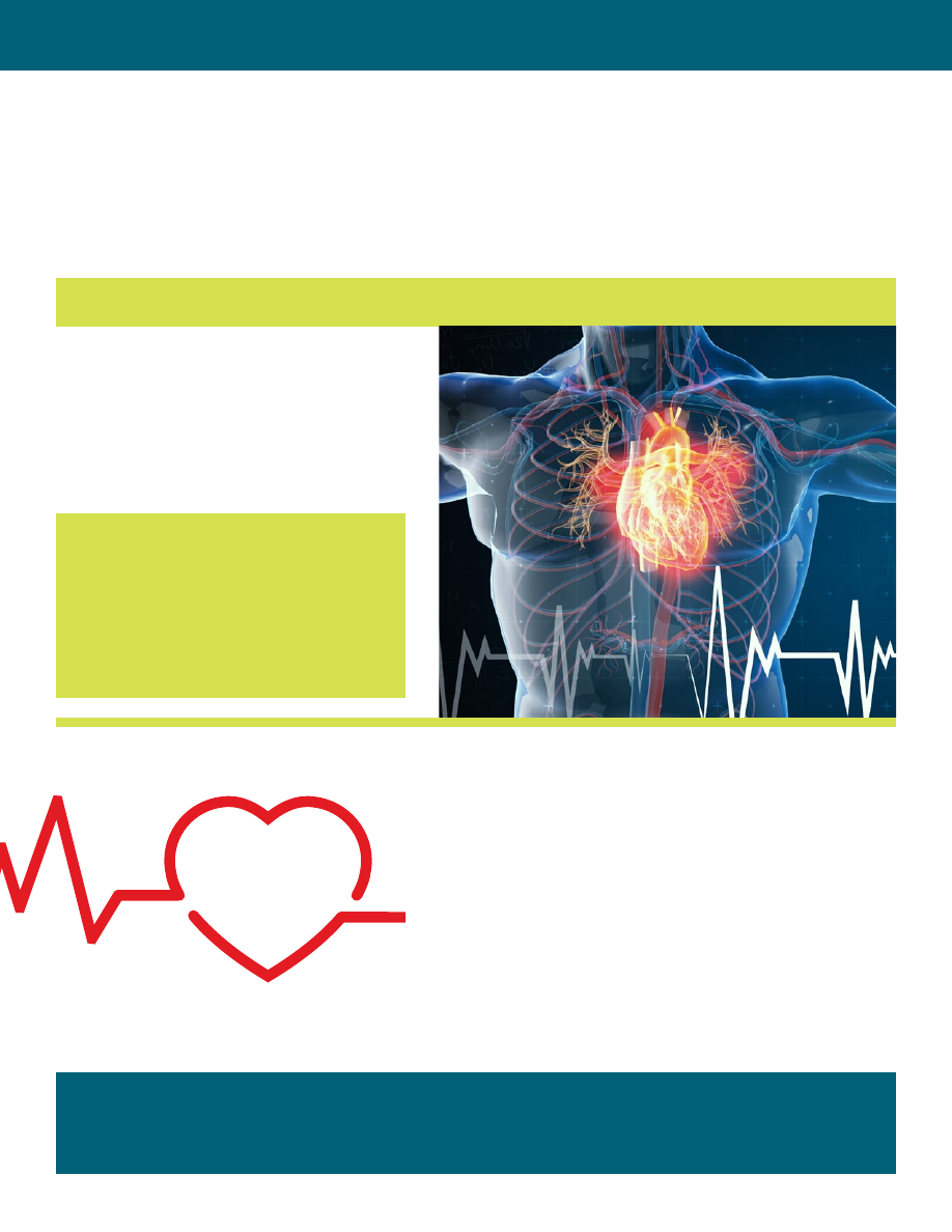 AFib Fact Sheet | pfehealtheducate.com